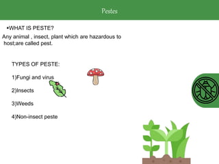 paste and paste control 2.ppt