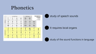Phonetics vs Phonology | PDF | Smartphones | Consumer Electronics