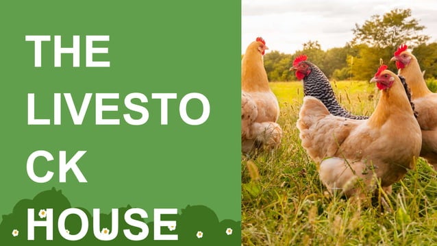 FARM ANIMAL HOUSING, POULTRY AND LIVESTOCK HOUSING | PPT | Free Download