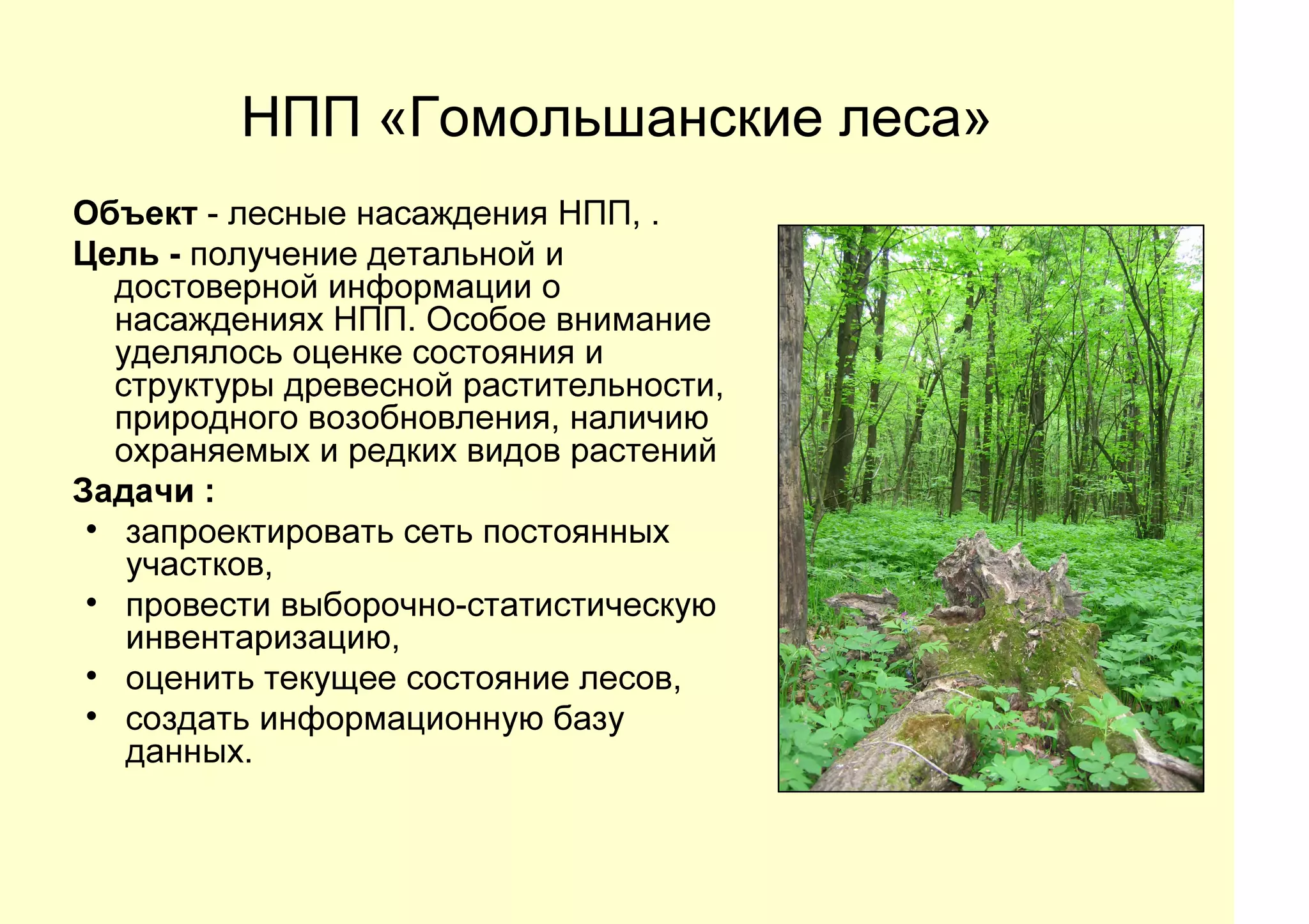 Pasternak V. Using PTC Field Map for large-scale mapping of areas ...
