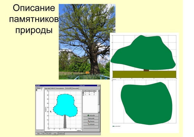 Pasternak V. Using PTC Field Map for large-scale mapping of areas ...