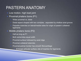 Pastern Arthrodesis | PPTX