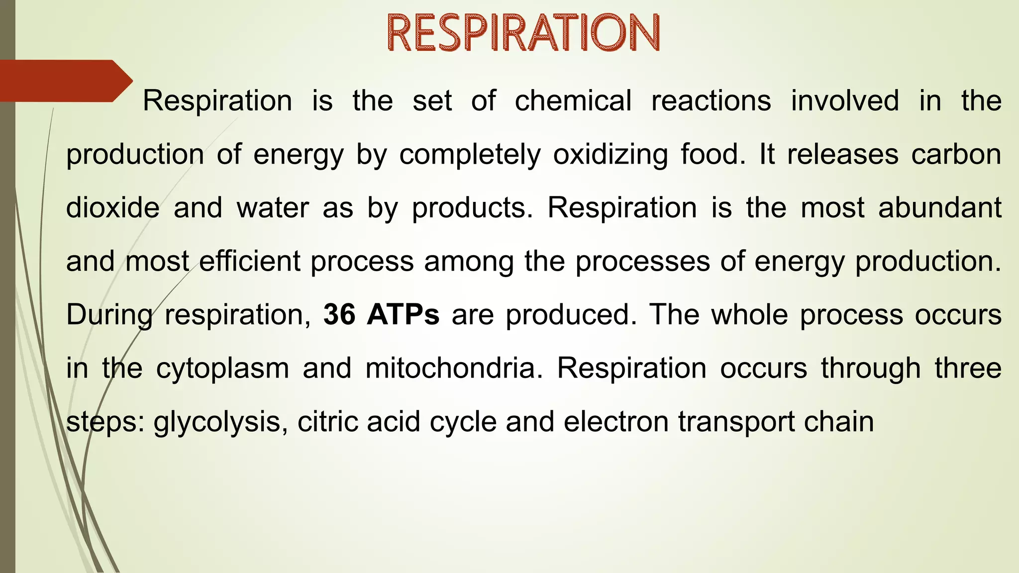 Pasteur Effect Pptx