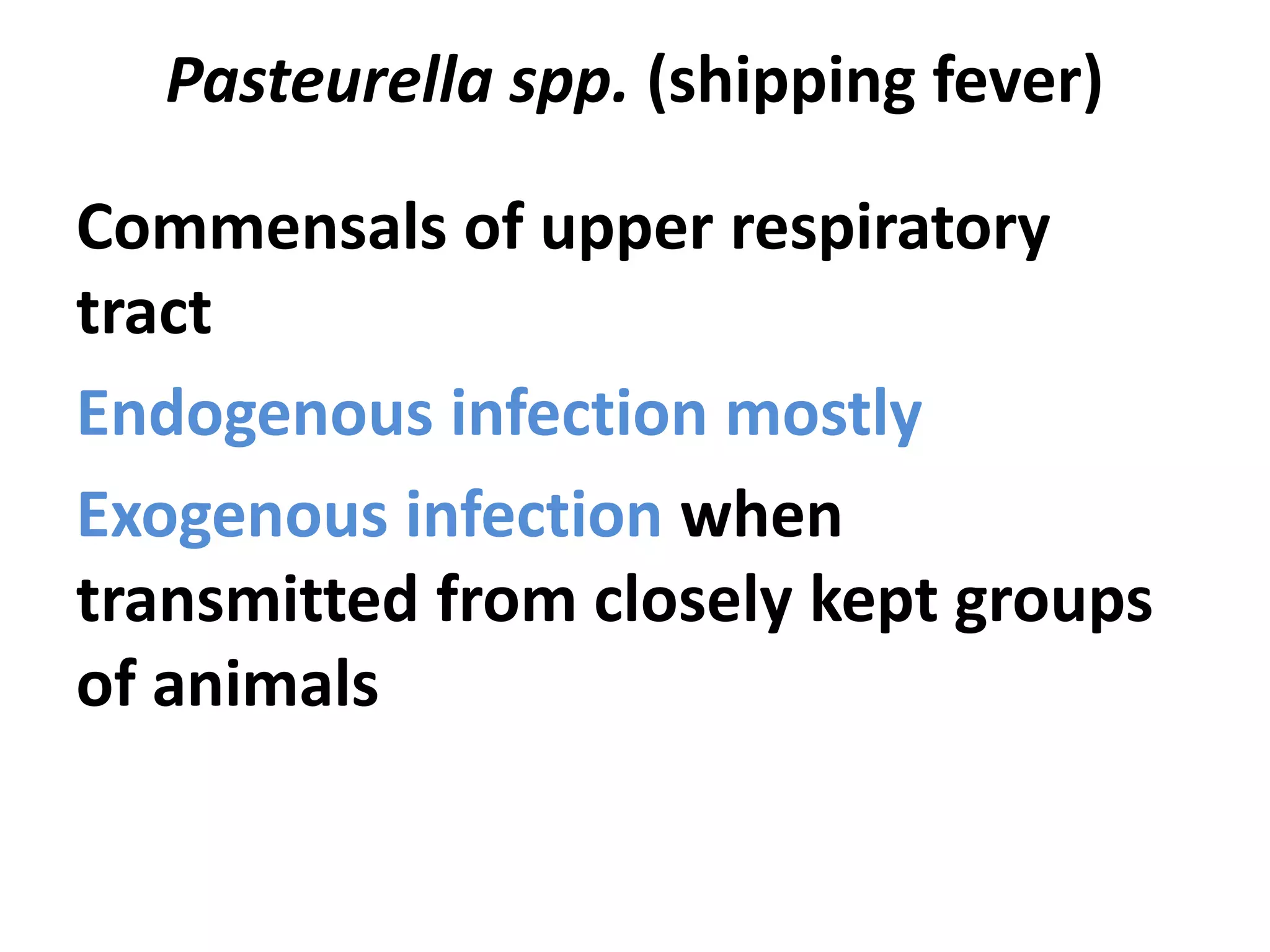 Pasteurella.pptx