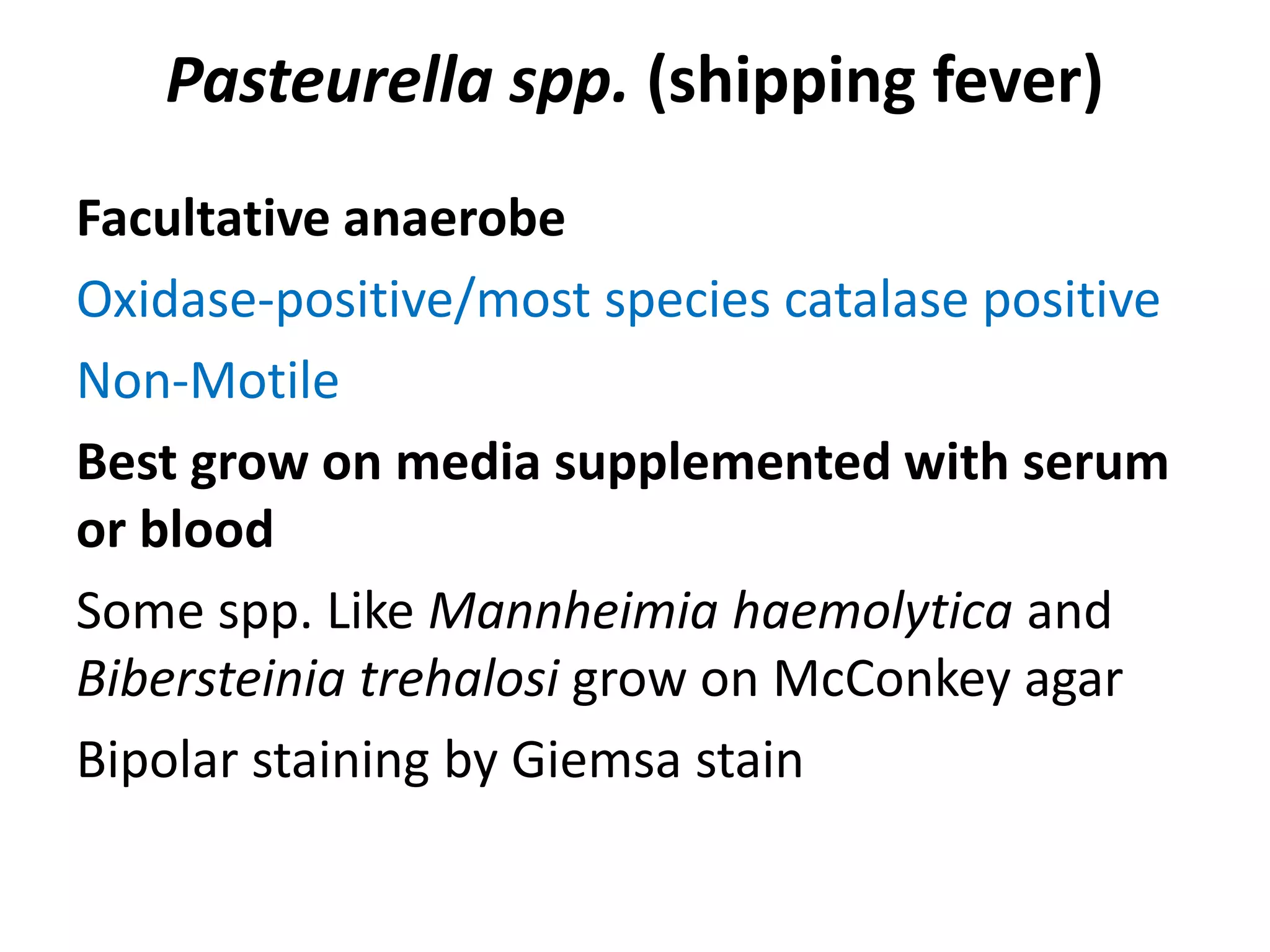 Pasteurella.pptx