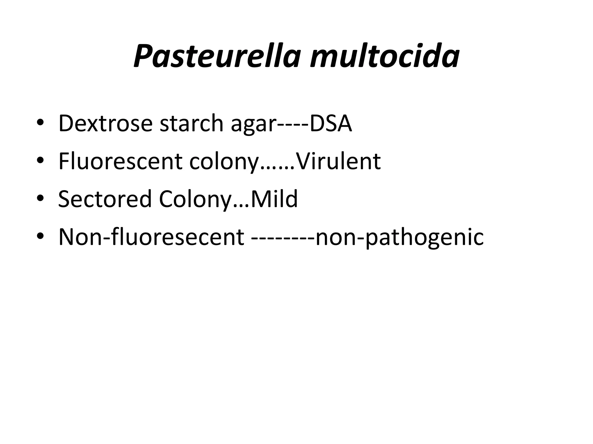Pasteurella.pptx