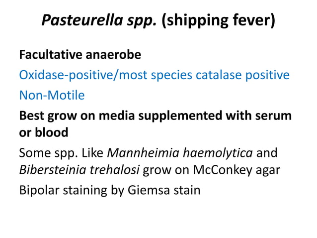 Pasteurella.pptx