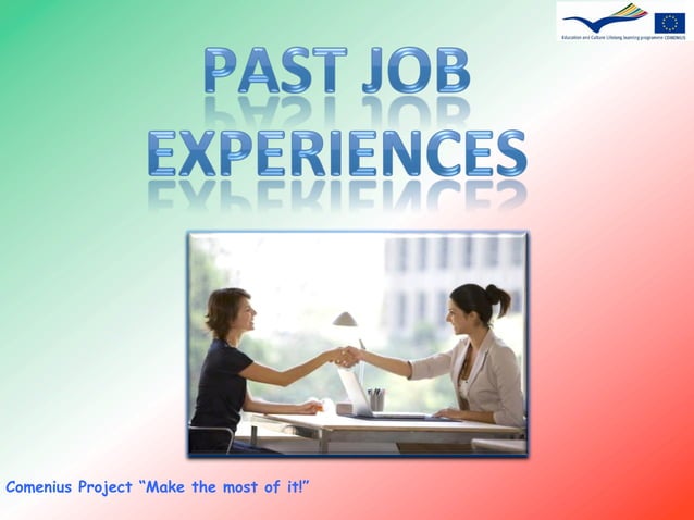 Past job experience | PPT
