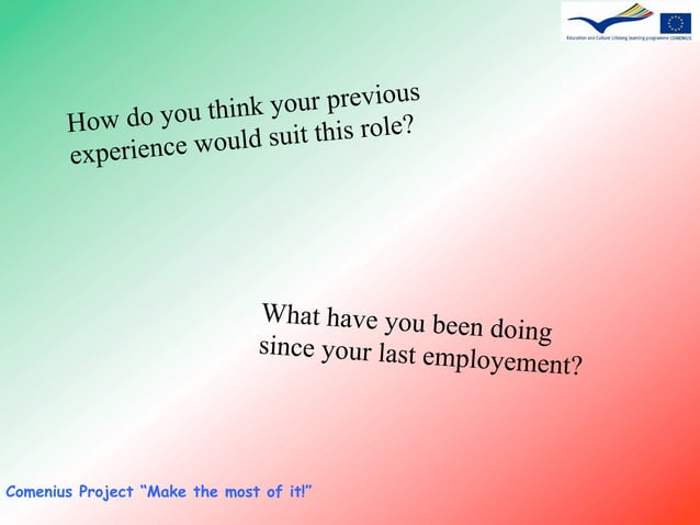 Past job experience | PPT
