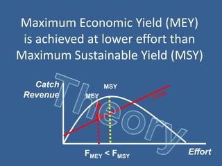 Pastoors 2011 setting objectives for fisheries management | PPT