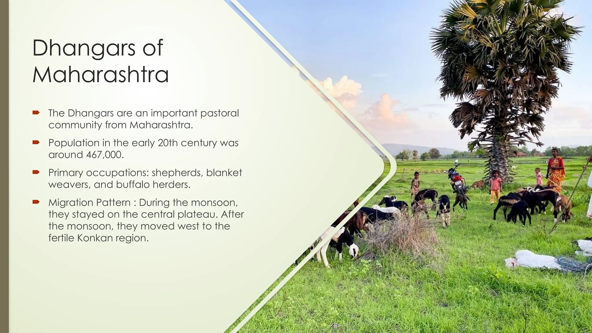 Pastoral Communities presentation NCERT.pptx