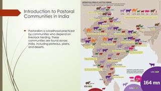 Pastoral Communities presentation NCERT.pptx