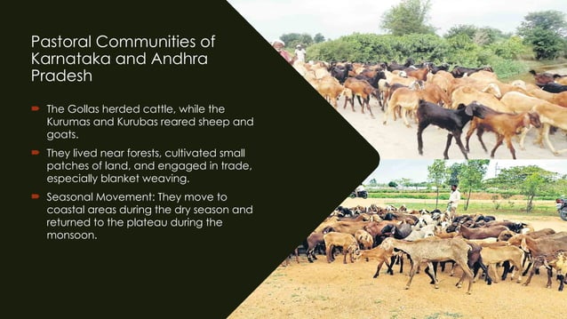 Pastoral Communities presentation NCERT.pptx