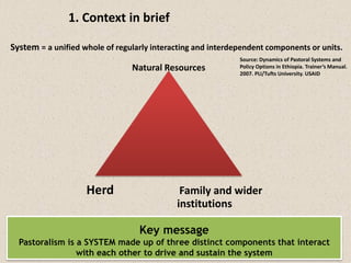 Pastoralism in the reforming Ethiopia: policy,assumption and prospects ...