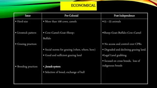 Pastoralists in the modern world | PPTX