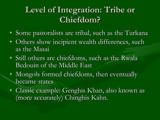 Pastoralists: Tribes into Chiefdoms? | PPT