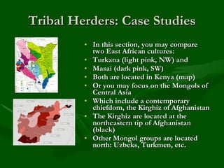 Pastoralists: Tribes into Chiefdoms? | PPT