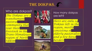 Pastoral Societies of Sikkim - Internal assessment activity.pptx