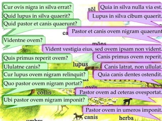 Pastor et oves | PPT