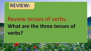 PAST PERFECT TENSE.pptx