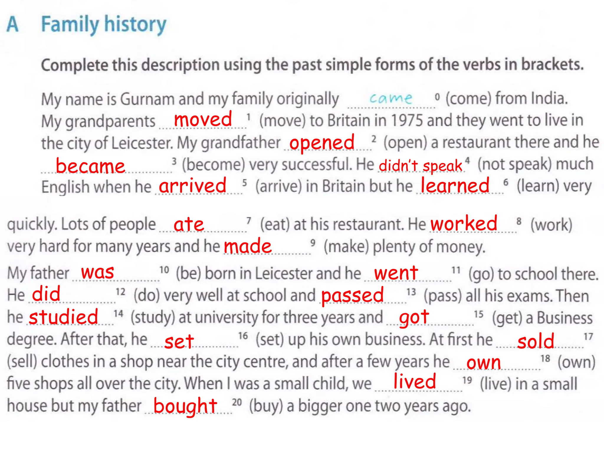 Past simple - homework answers - Hobbies class.pptx