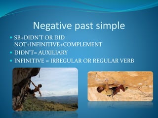 Past simple | PPT