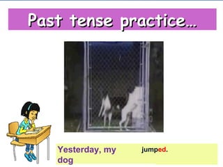 Past Simple Tense | PPT
