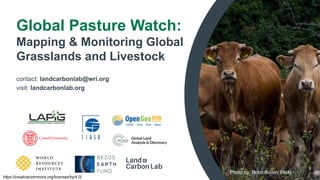 Global Pasture Watch: Mapping & Monitoring Global Grasslands and ...