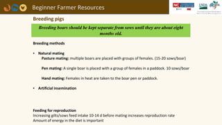pastured-pork-tools-breeding.ppt