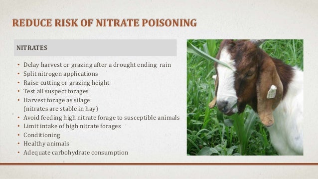 PastureHealthProblemsV