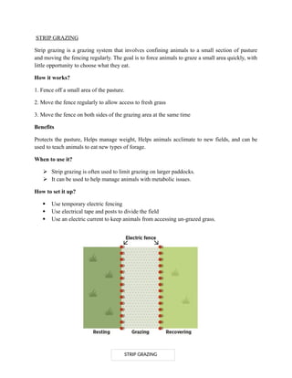 PASTURE MANAGEMENT IN ORGANIC FARMING - its importance and techniques | PDF