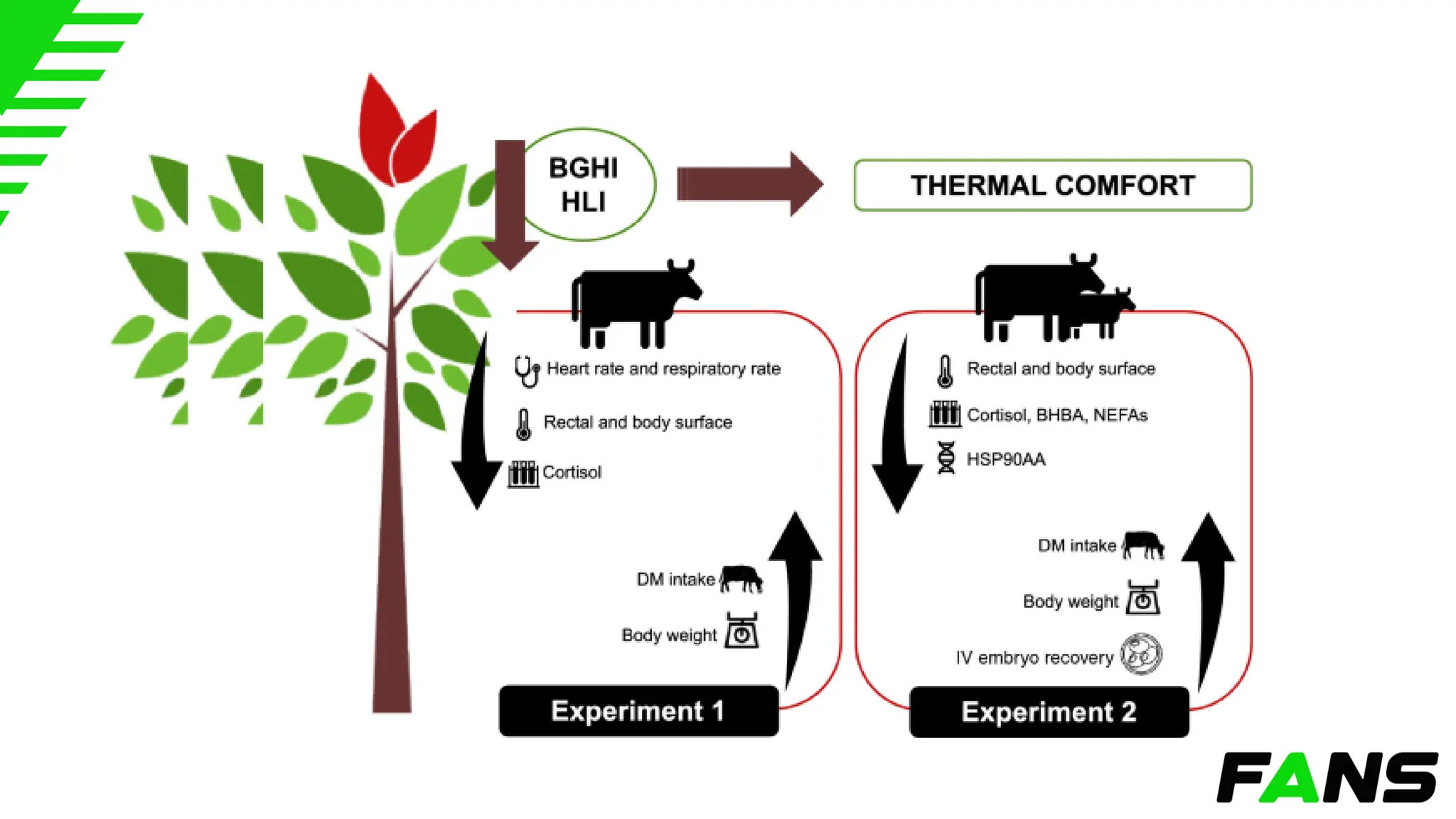 Pasture Management and Fodder Production | PDF
