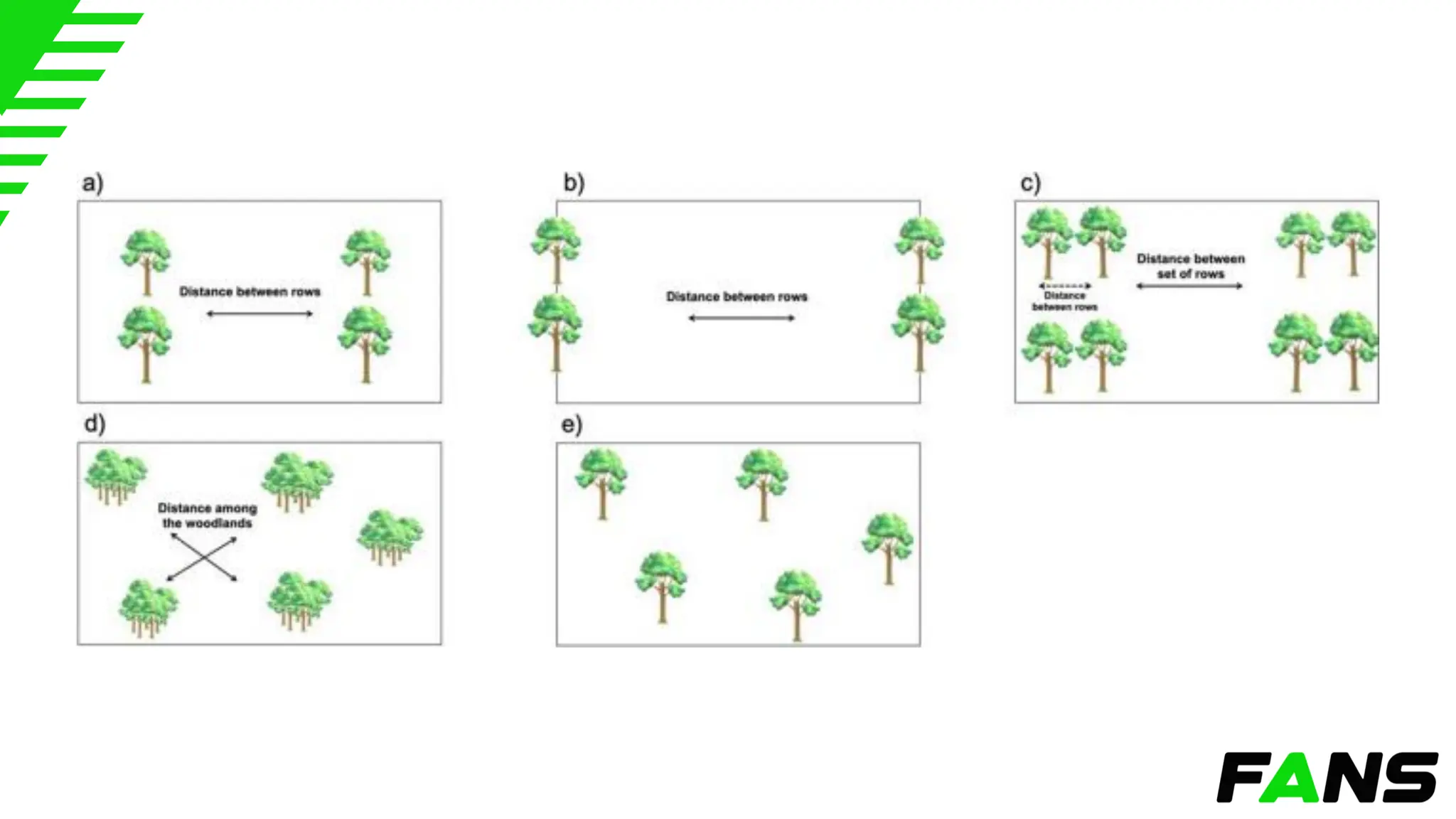 Pasture Management and Fodder Production | PDF
