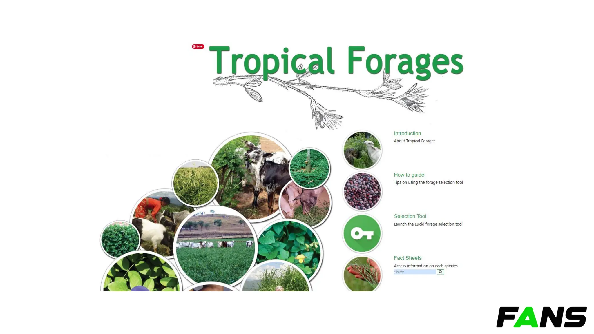 Pasture Management and Fodder Production | PDF