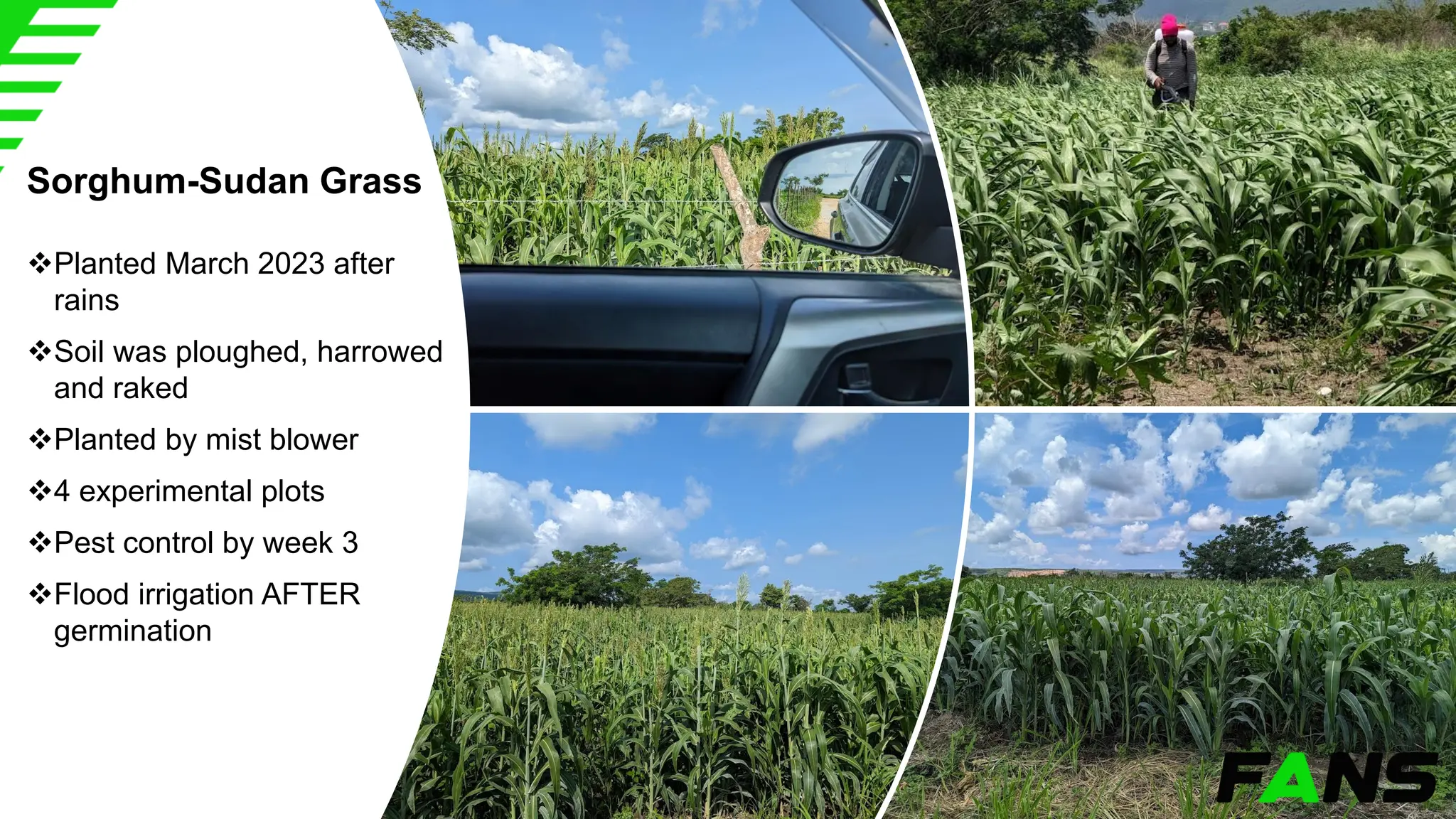 Pasture Management and Fodder Production | PDF