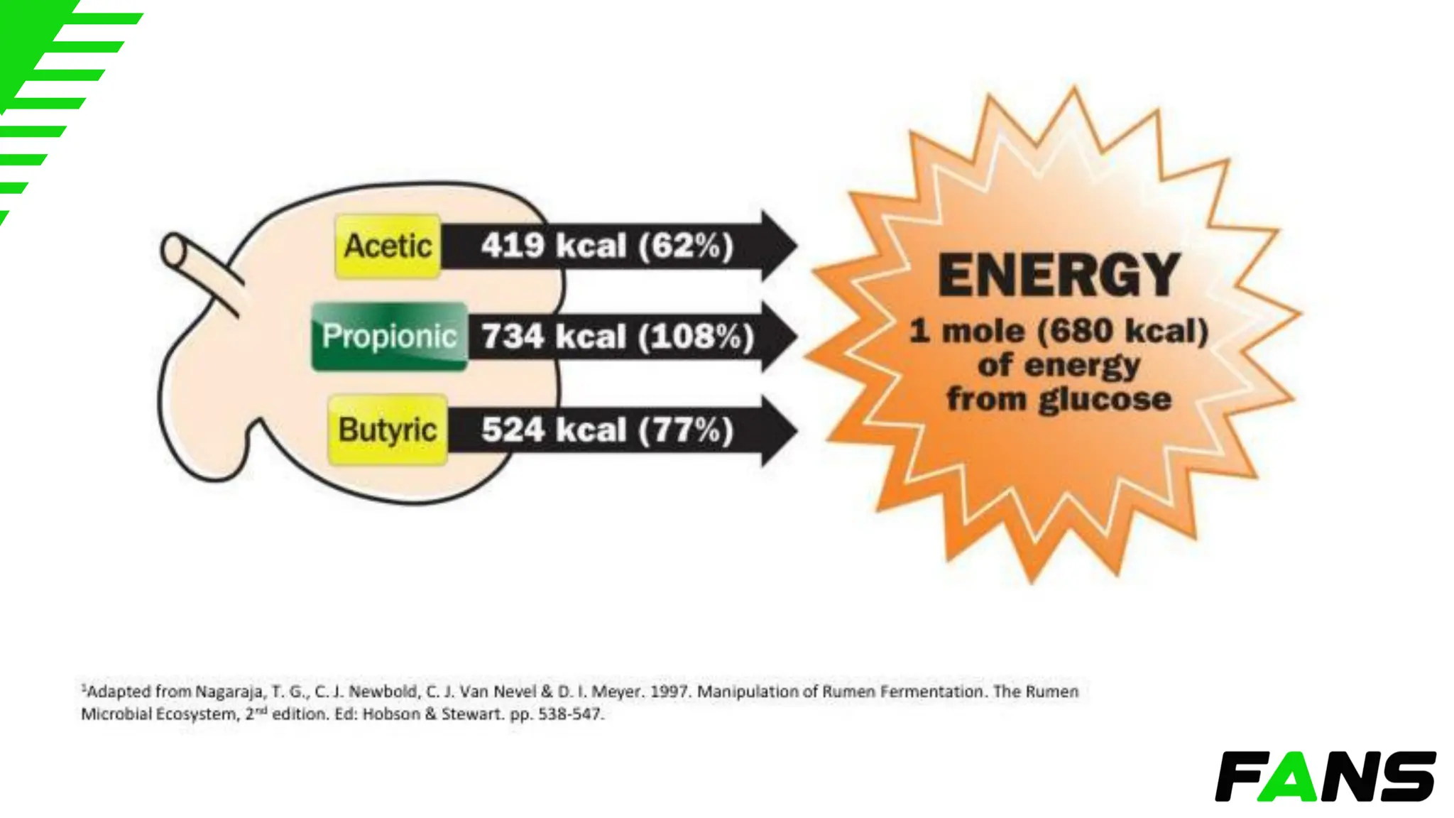 Pasture Management and Fodder Production | PDF