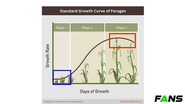 Pasture Management and Fodder Production | PDF | Agriculture | Industries
