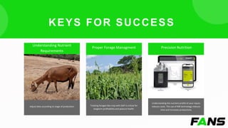 Pasture Management and Fodder Production | PDF