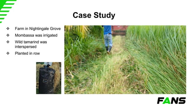 Pasture Management and Fodder Production | PDF | Agriculture | Industries