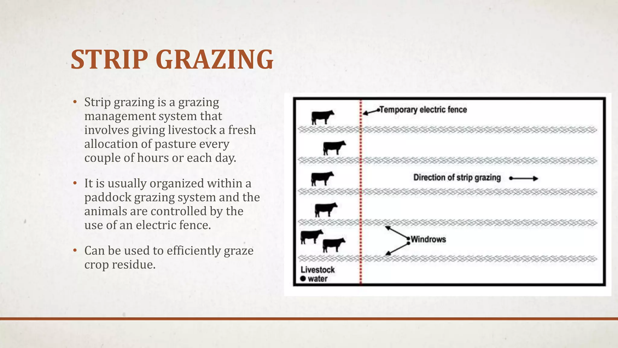 Pasture and grazing management | PPTX