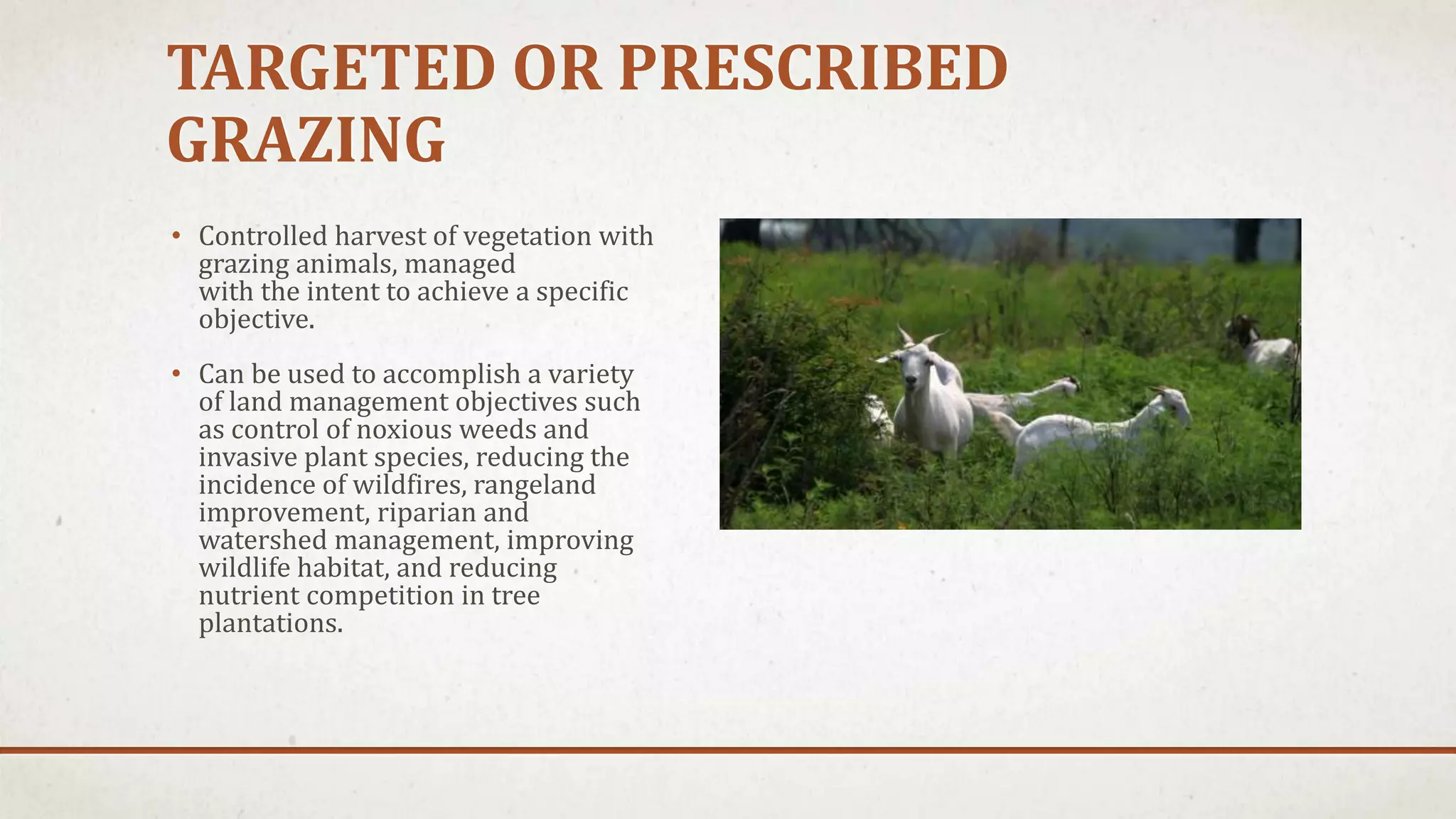 Pasture and grazing management | PPTX
