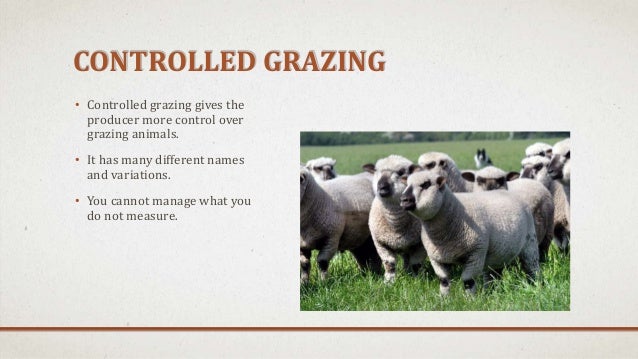 Pasture and grazing management
