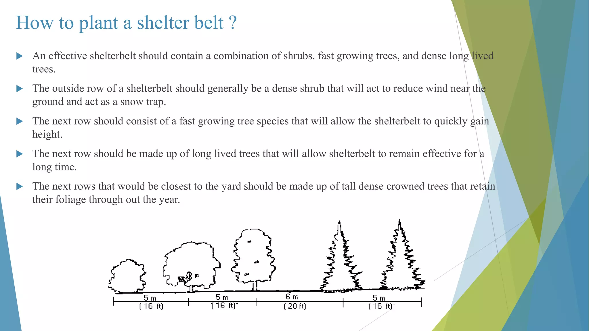 Pastures, wind breaks and shelter belts in soil conservation | PDF