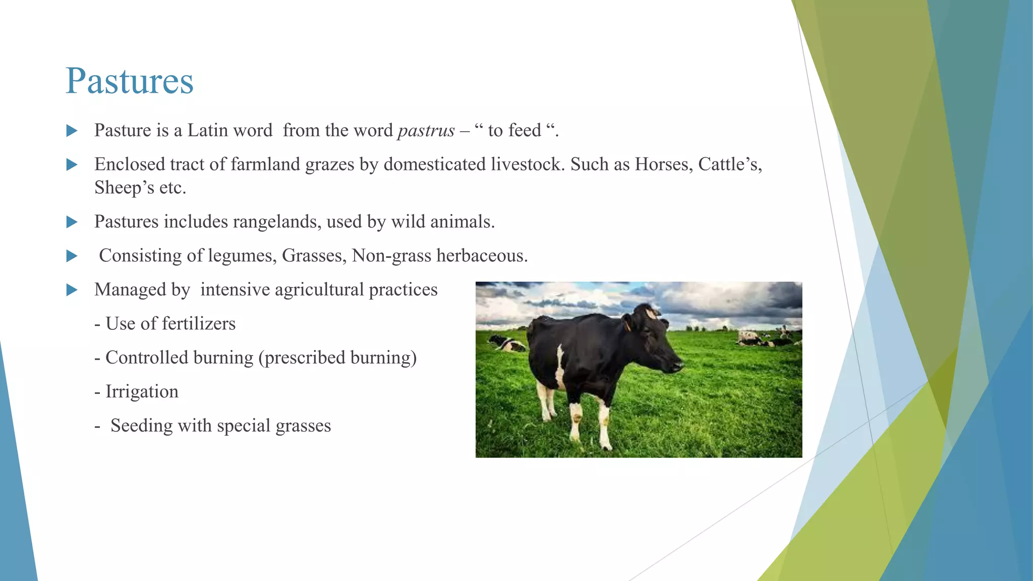 Pastures, wind breaks and shelter belts in soil conservation | PDF