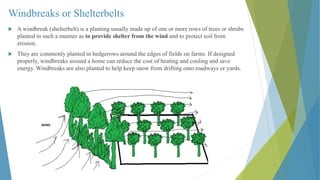 Pastures, wind breaks and shelter belts in soil conservation | PDF