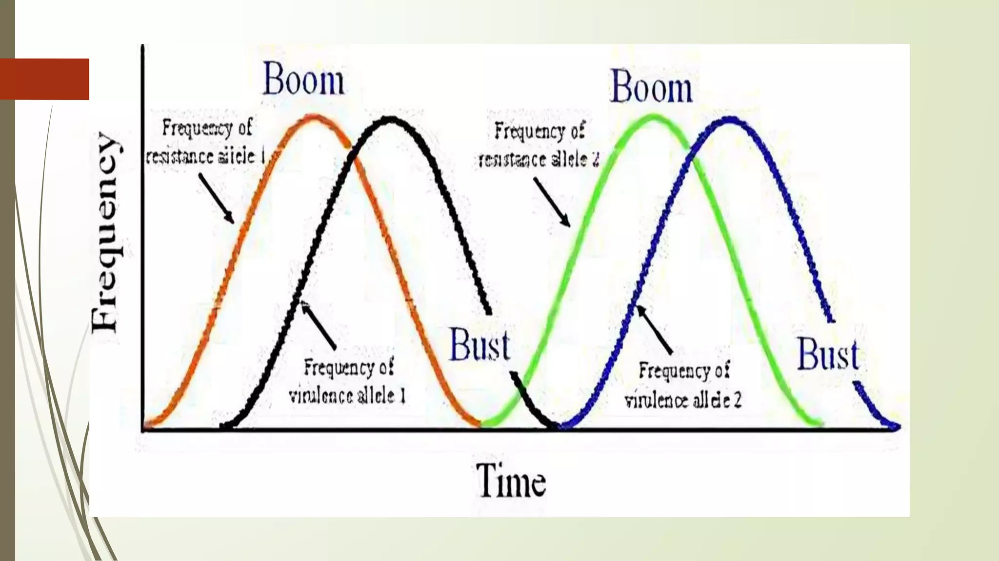 Boom and bust cycle-1.pptx