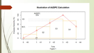 Boom and bust cycle-1.pptx