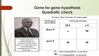 Boom and bust cycle-1.pptx