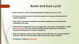 Boom and bust cycle-1.pptx