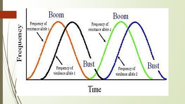Boom and bust cycle-1.pptx | Gardening | Home & Garden